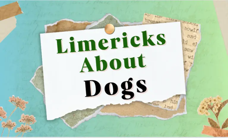 110 Limericks About Dogs - Whimsical Tales in Dog Limericks